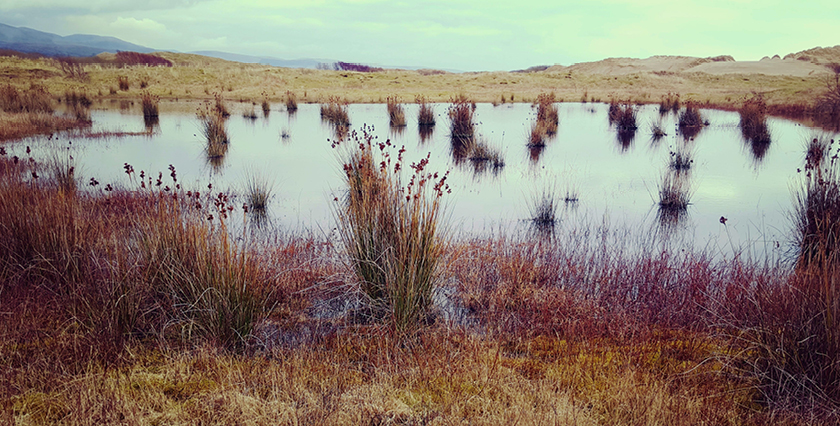 Environmental Geography